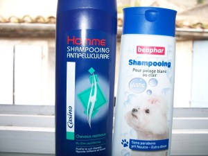 Poo vs. pooing – Let's Live In France